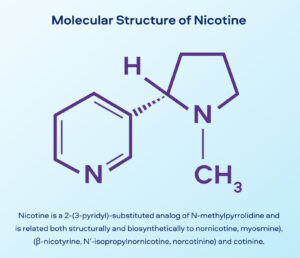Nicotine Explained - BAT Science